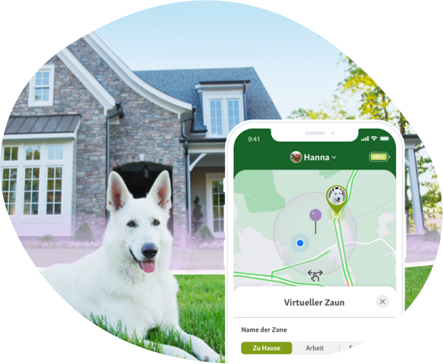 Geofencing | Fressnapf Tracker